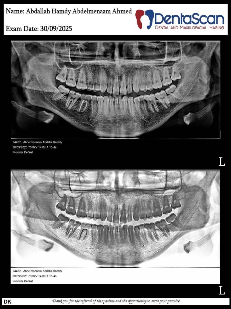 Abdallah Hamdy Abdelmenaam Ahmed | PDF