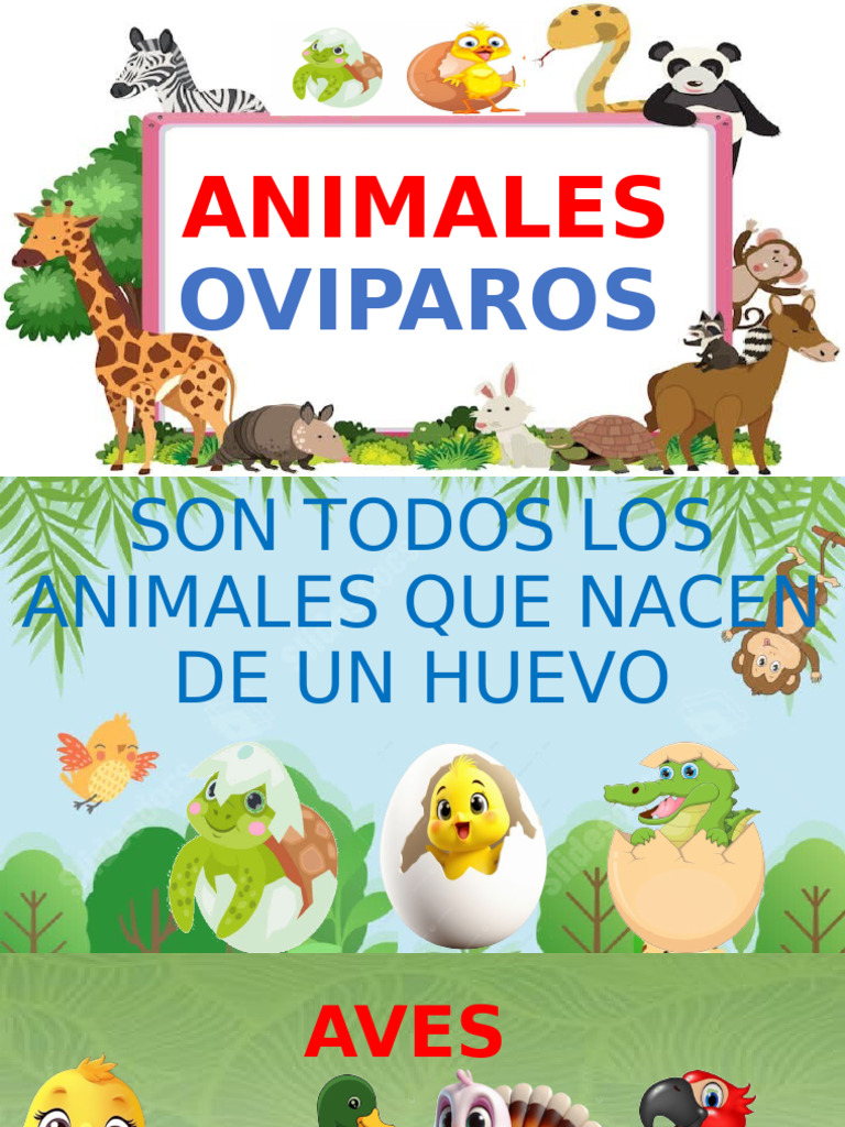Animales Oviparos | PDF