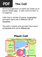 Cell Organelles as House Components | PDF | Science & Mathematics