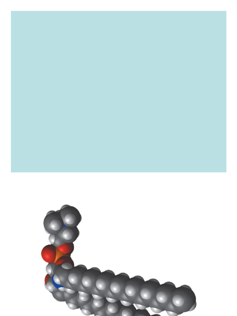 Lehninger4e - Ch10-Lipids - PPT (Compatibility Mode) | PDF