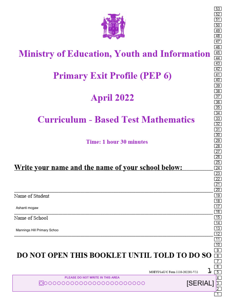 PEP 6 Mathematics Curriculum Test | PDF | Area | Numbers
