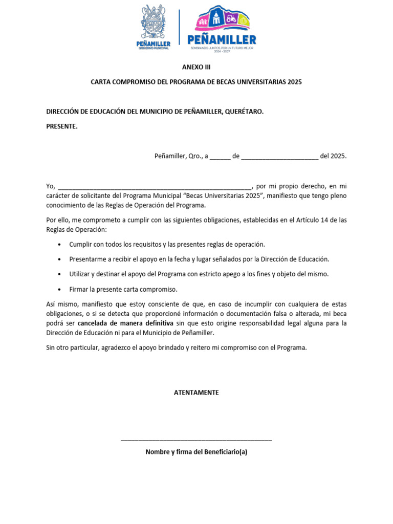 Anexo III Carta Compromiso | PDF