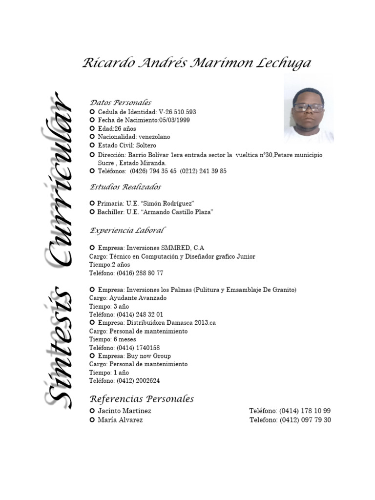 Currículum de Ricardo Marimon Lechuga | PDF