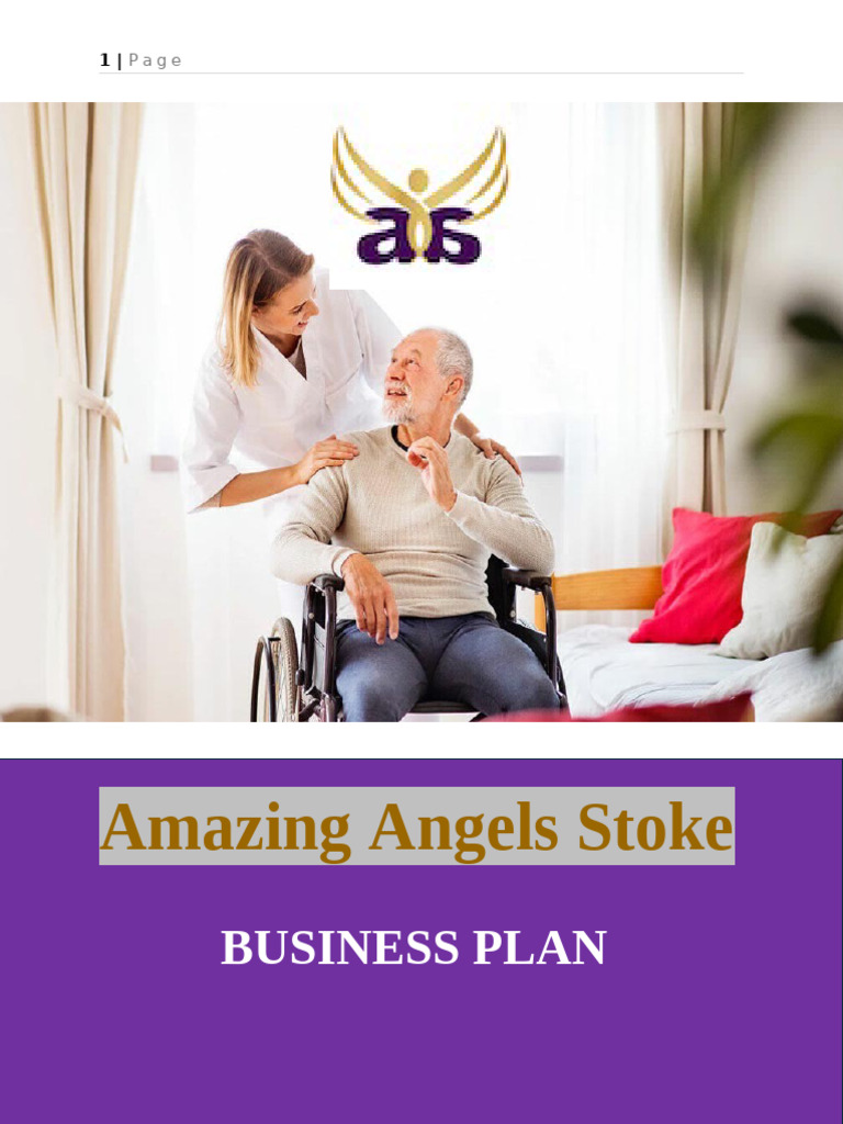 Amazing Angels Stoke Limited (Updated 12) | PDF | Franchising | Audit