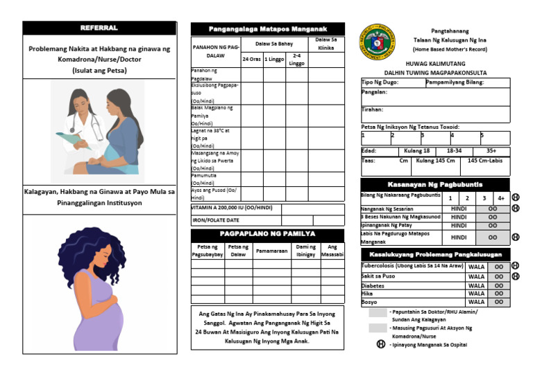 Home Based Mothers Record | PDF