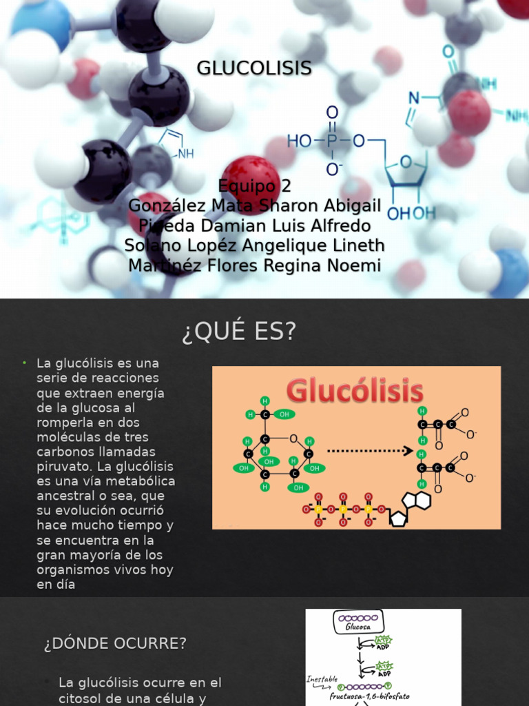 Glucólisis: Proceso y Fases Energéticas | PDF | Glucólisis | Trifosfato ...