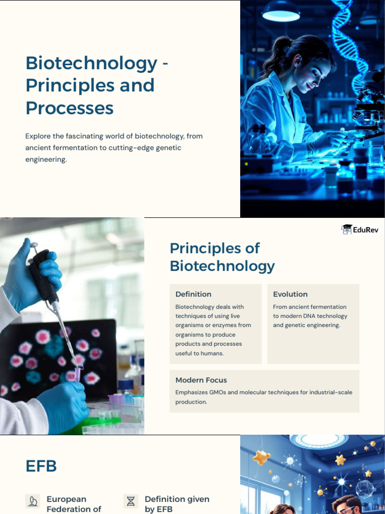 Biotechnology Principle and Processes | PDF | Plasmid | Molecular Cloning
