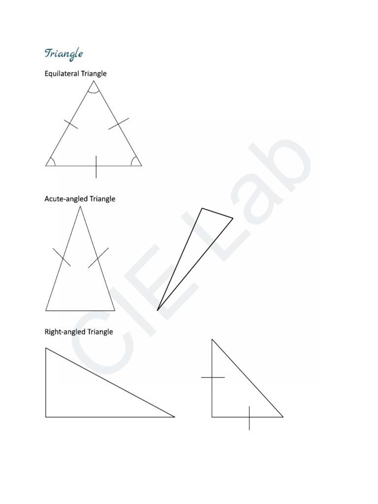 Worksheet (16 Sept) - Triangles, Polygons, Quadrilateral and Circle | PDF