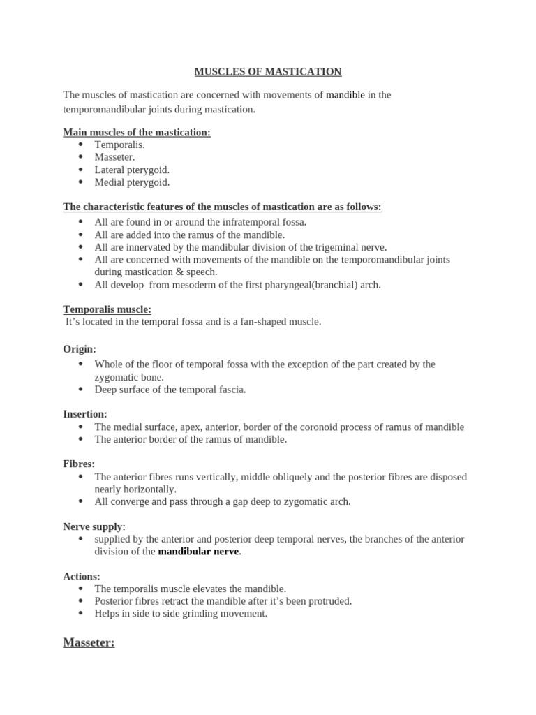Muscle of Mastication | PDF | Primate Anatomy | Musculoskeletal System