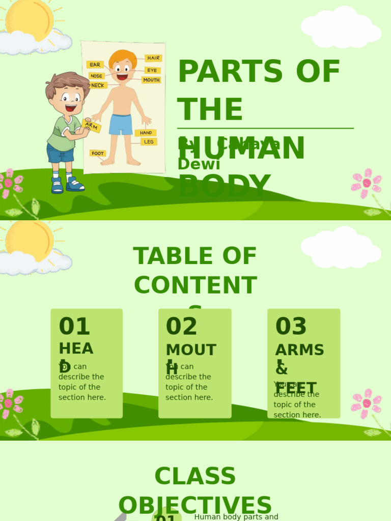 Human Body Parts and Health Tips | PDF
