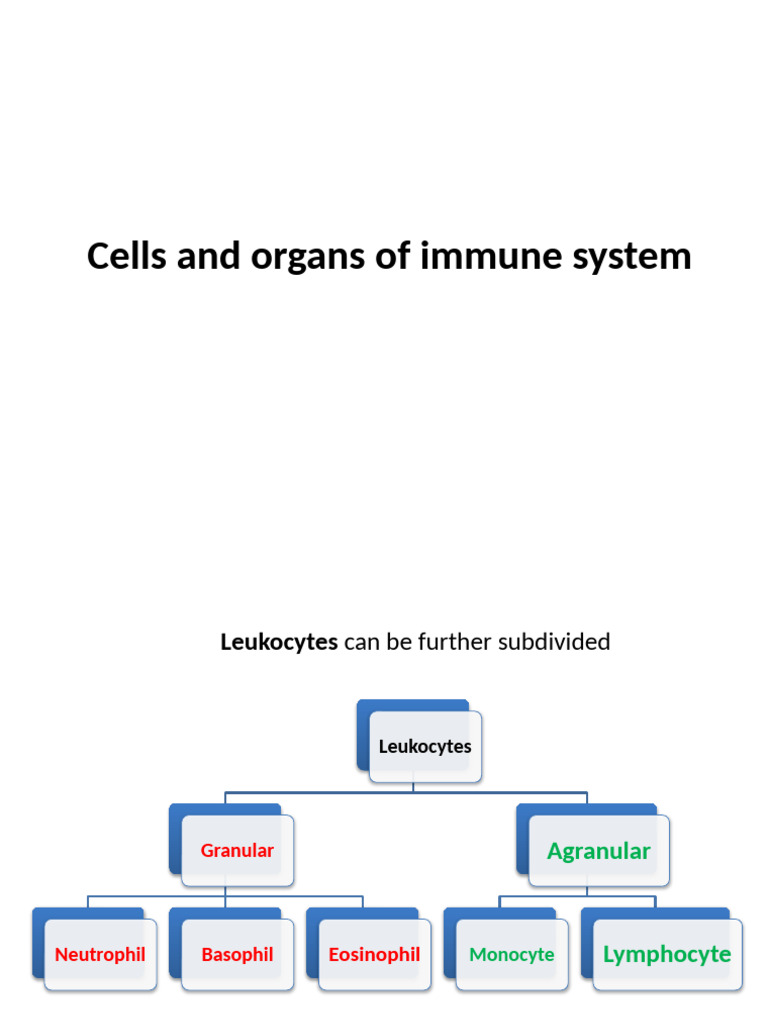 Cells of Immune system-GE | PDF | T Cell | Macrophage