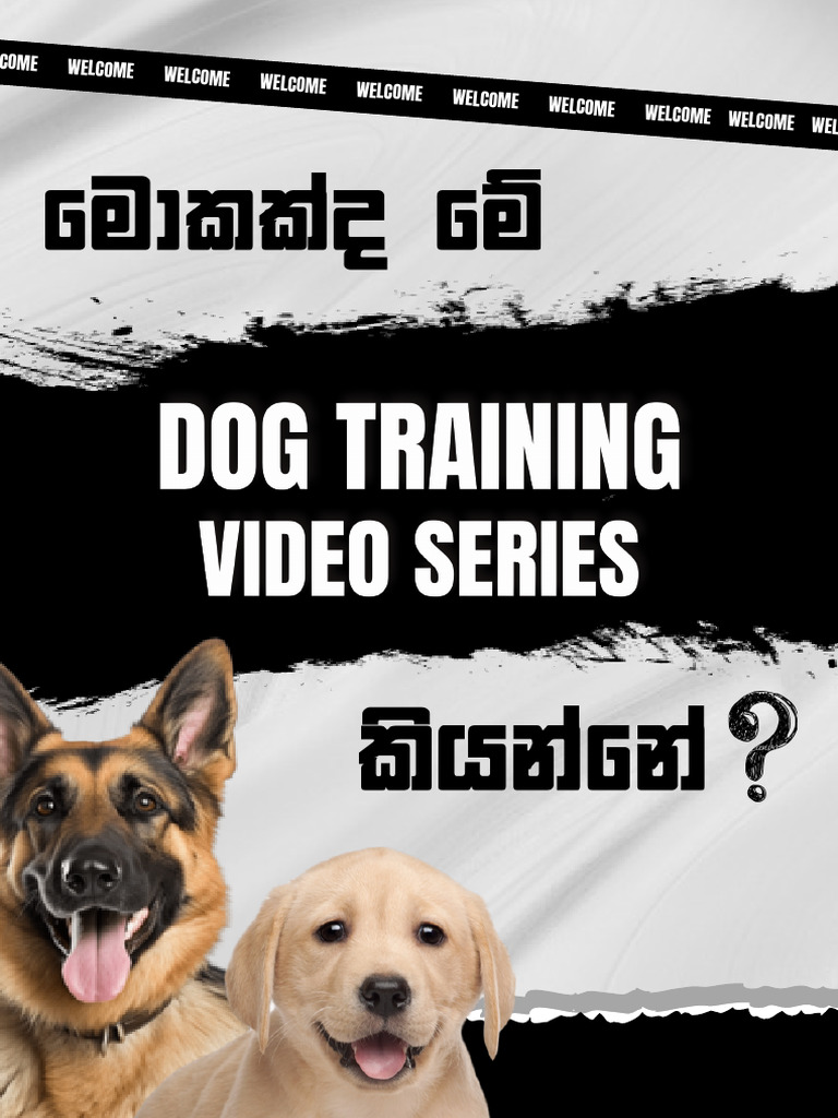 Video Series - Sinhala | PDF