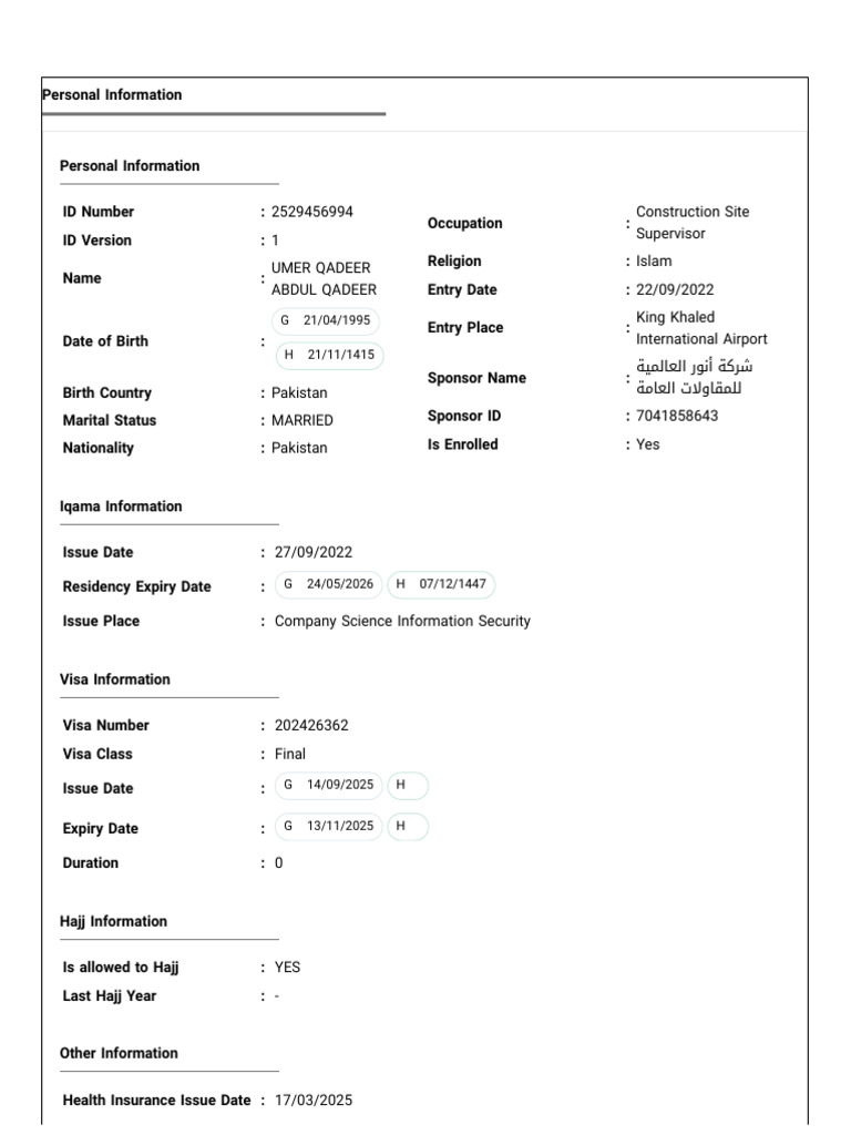 Umer Qadeer: Visa and Personal Info | PDF