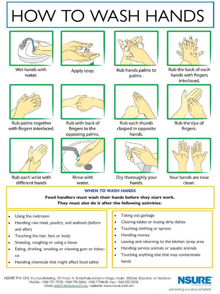 Essential Handwashing Guidelines for Food Safety | PDF