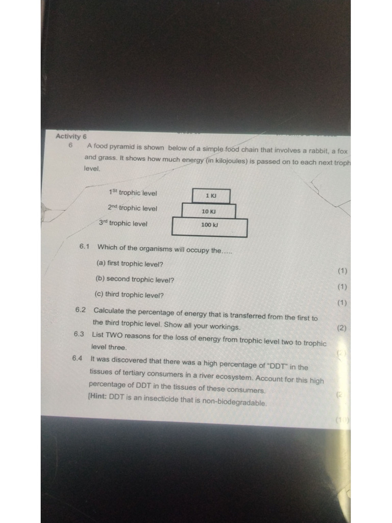 Life Science Tutorx Gr10 | PDF