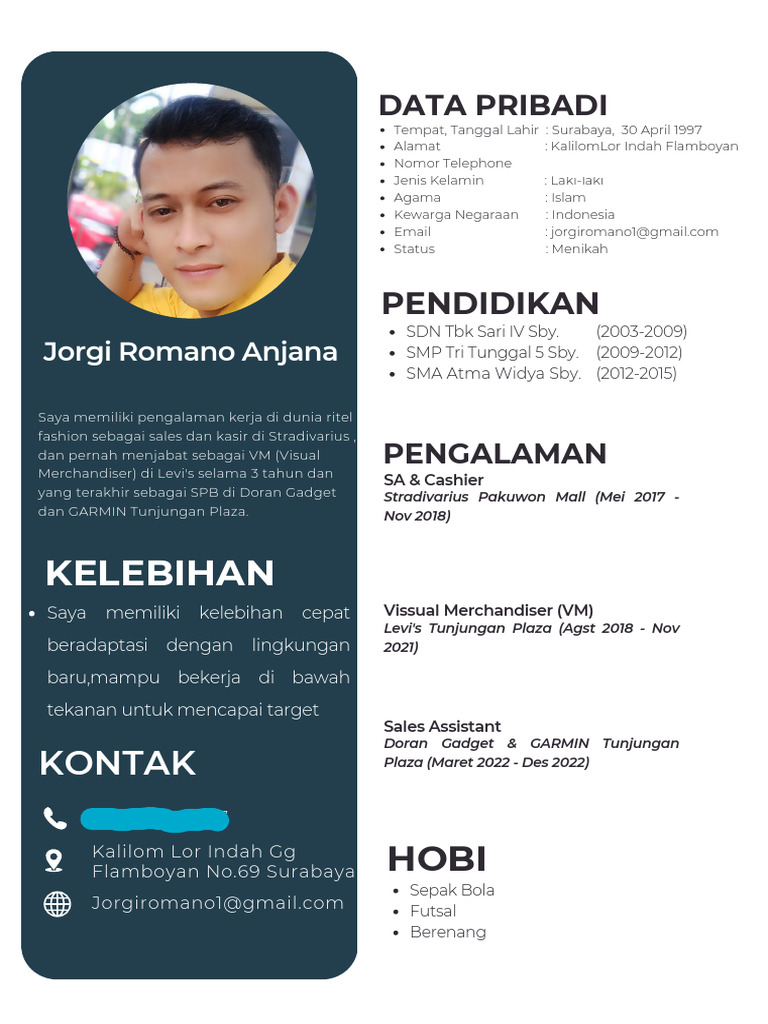 Jo Romano - CV | PDF