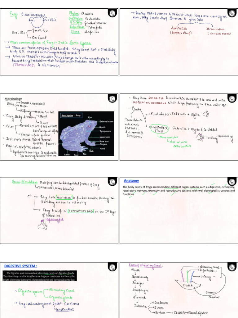 Afrog & Cockroach - Invert Delete PDF Pages - 302 | PDF