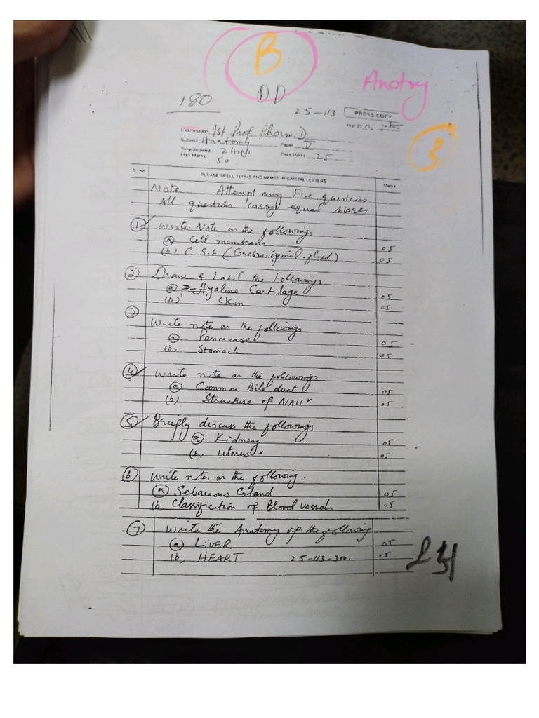 Past Papers | PDF