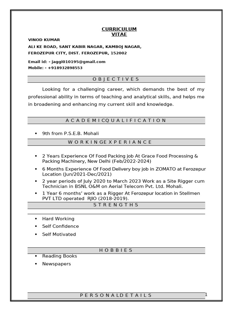 Vinod Kumar's Professional CV | PDF