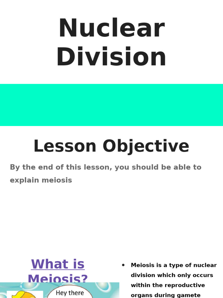 Nuclear Division - Meiosis (2023-2024) | PDF | Meiosis | Chromosome