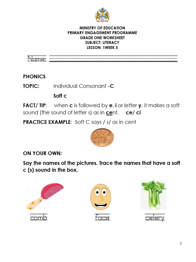 Grade 1 Literacy Week 5 Lesson 1 | PDF