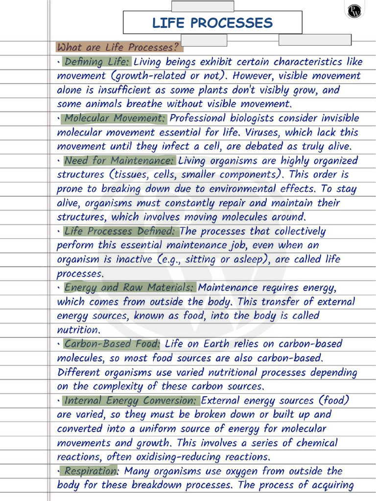 Life Processes: Handwritten Notes - (Only PDF | PDF