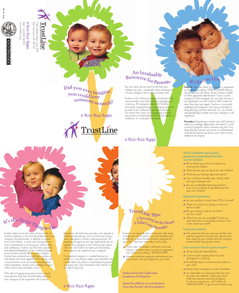 TrustLine: Ensuring Child Care Safety | PDF | Child Care | Criminal Record