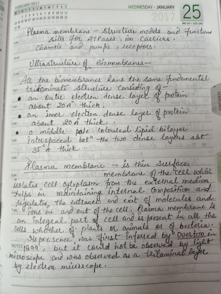 Plasma Membrane Notes | PDF