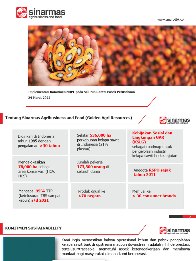 Implementasi NDPE di Rantai Pasok GAR | PDF
