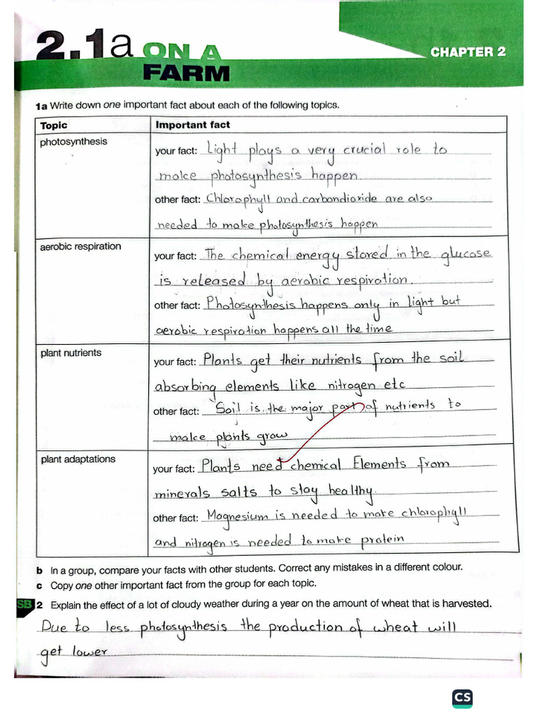 Science VIII-Chapter 2 (Workbook) | PDF