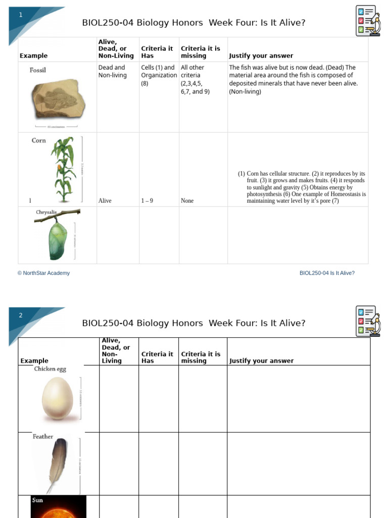 BIOL250 04+Honors+Biology+Week+Four+is+It+Alive +activity | PDF ...