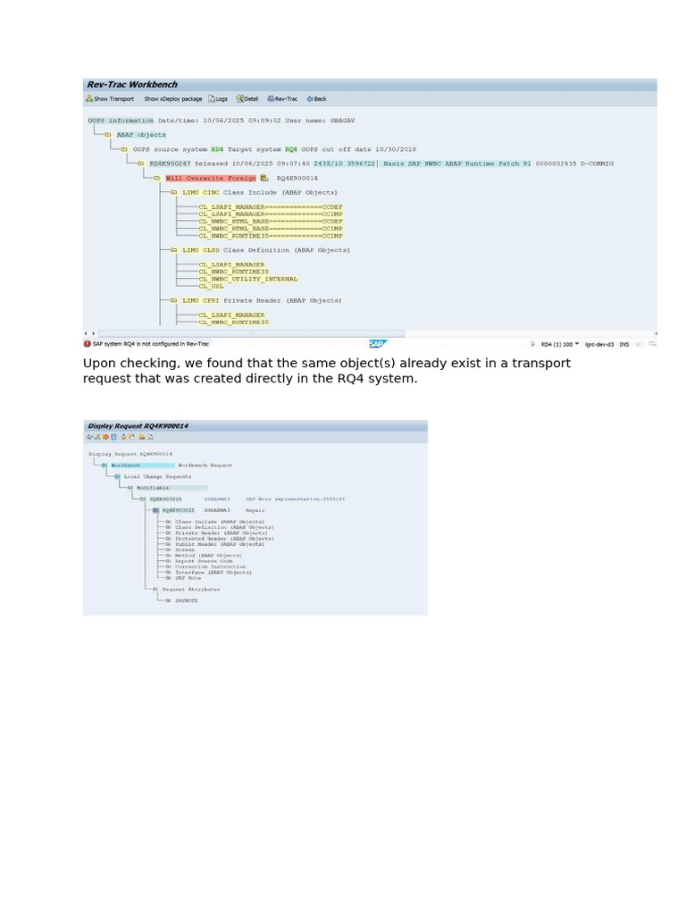 NWBC Issue SAP Note Import | PDF