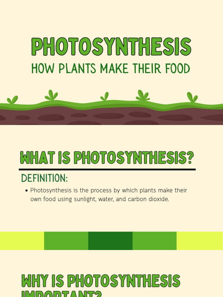 Photosynthesis Presentation Bright Green Illustrated Style | PDF
