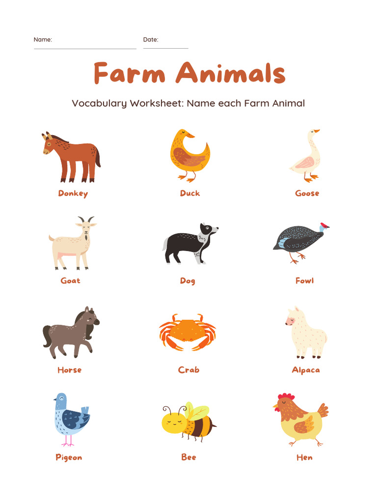 Farm Animals Vocabulary Worksheet | PDF
