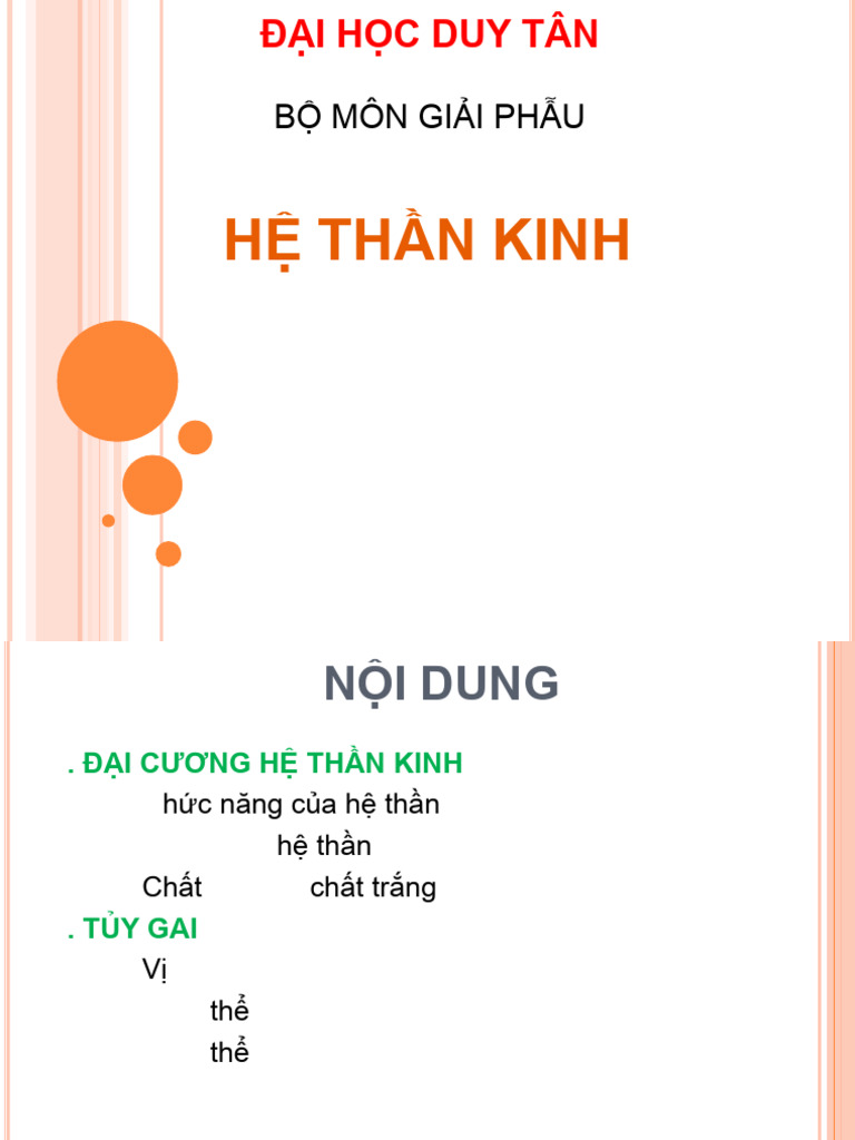 ANA 201 - Giai Phau Hoc 1 - 2021F - Lecture Slides - 14 | PDF