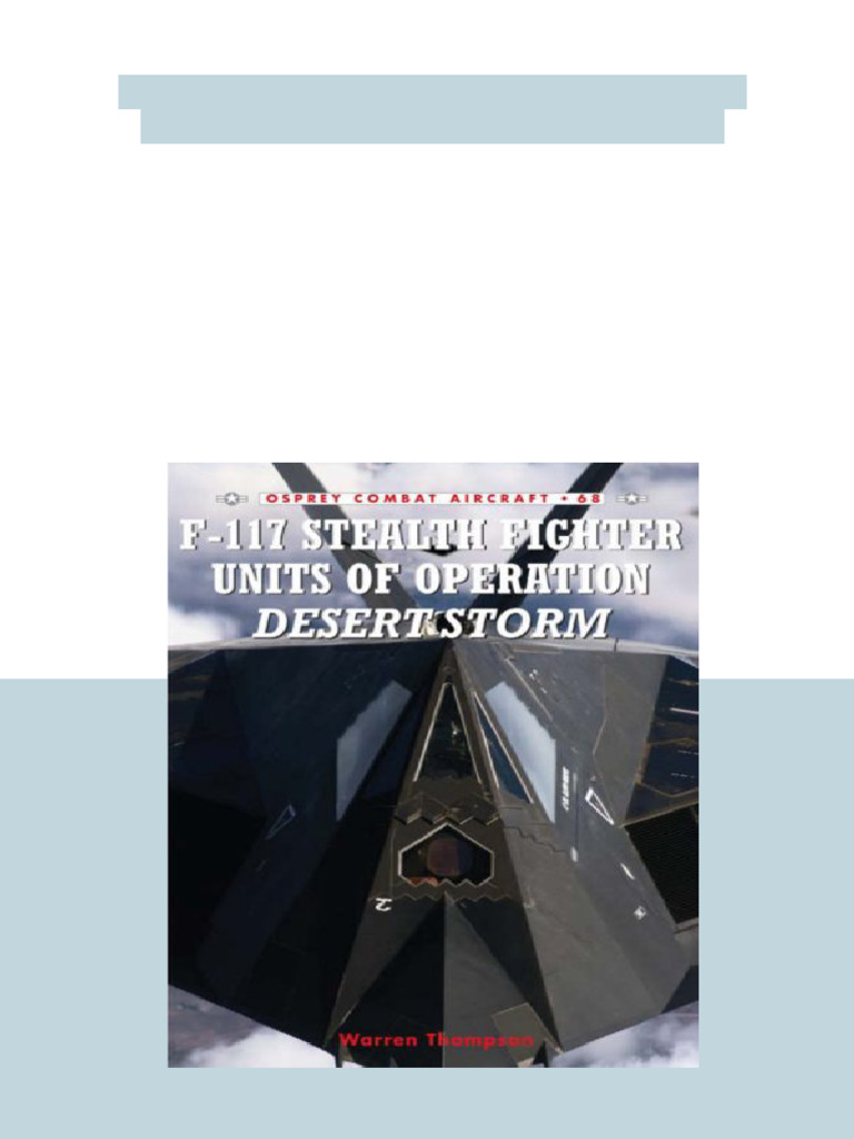 F 117 Stealth Fighter Units of Operation Desert Storm Warren Thompson ...