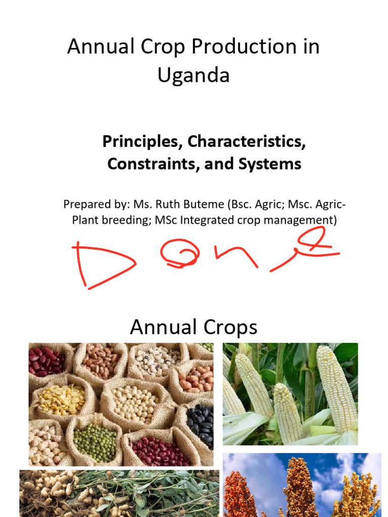 Introductory Lecture Annual Crop Production Uganda 2025 | PDF ...