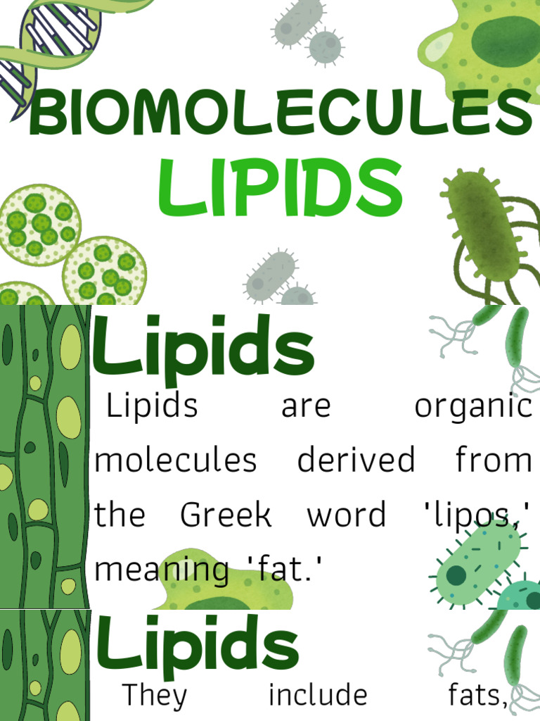 Biomolecules Lipids | PDF | Fatty Acid | Lipid