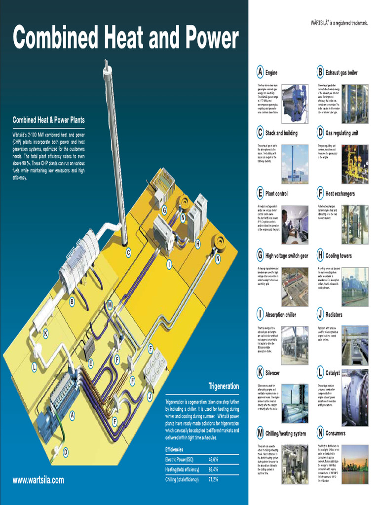 New CHP Poster | PDF