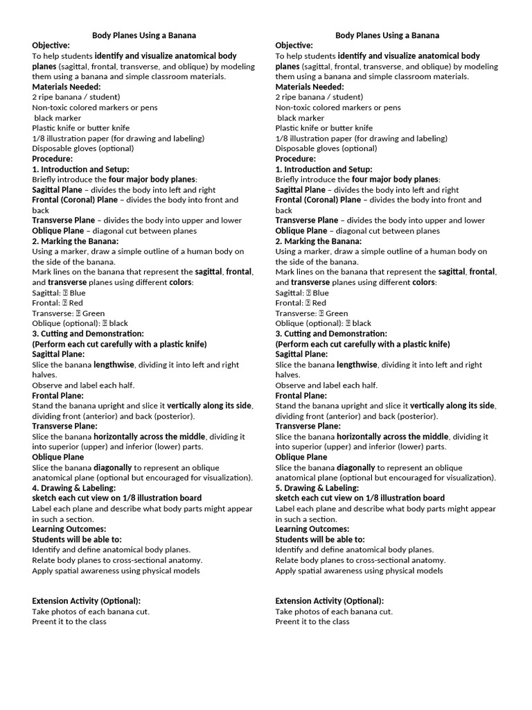 Visualizing Body Planes with Bananas | PDF | Anatomical Terms Of Location