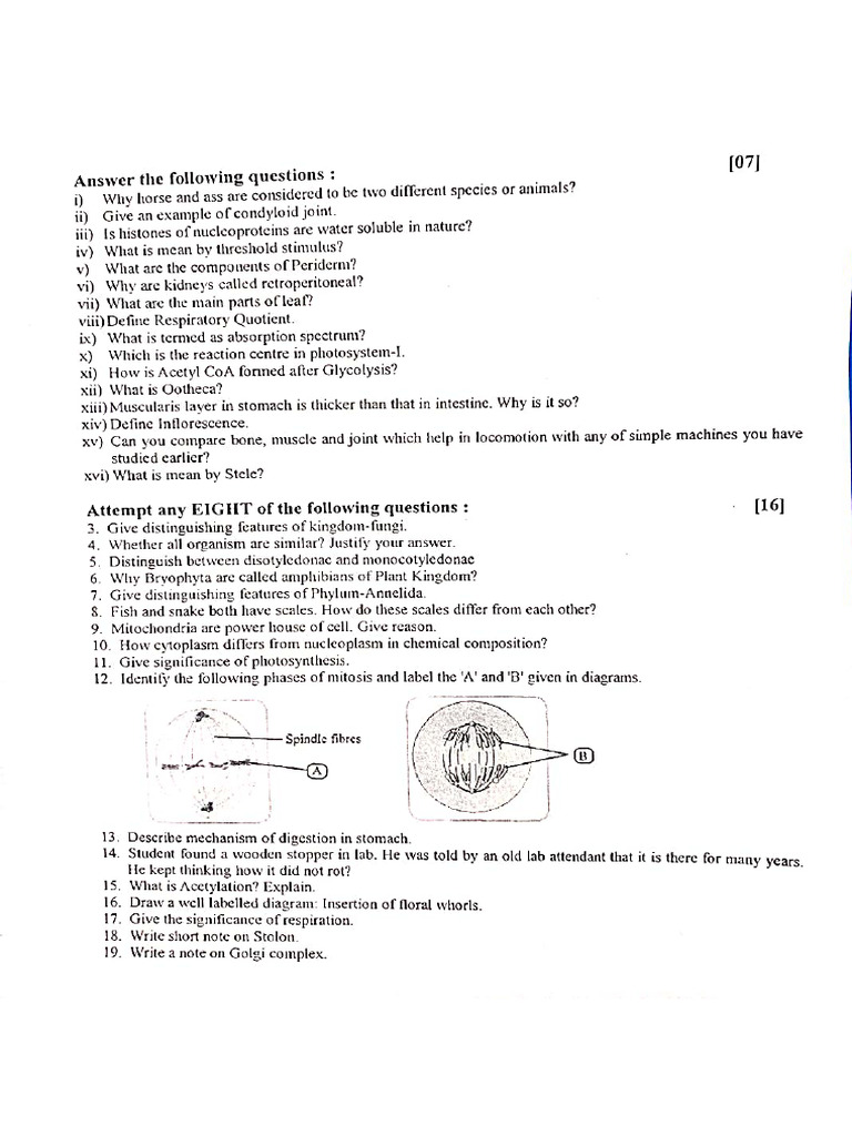 Bio Imp Que | PDF
