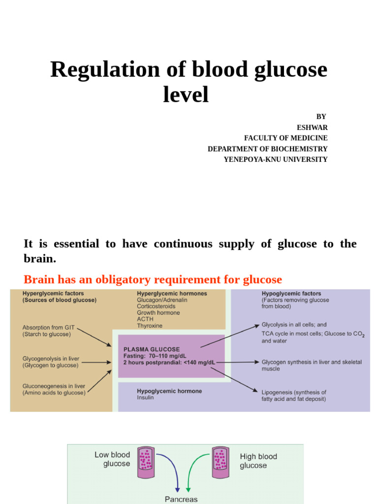 Blood Glucose Regulation and Testing | PDF | Hyperglycemia | Prediabetes