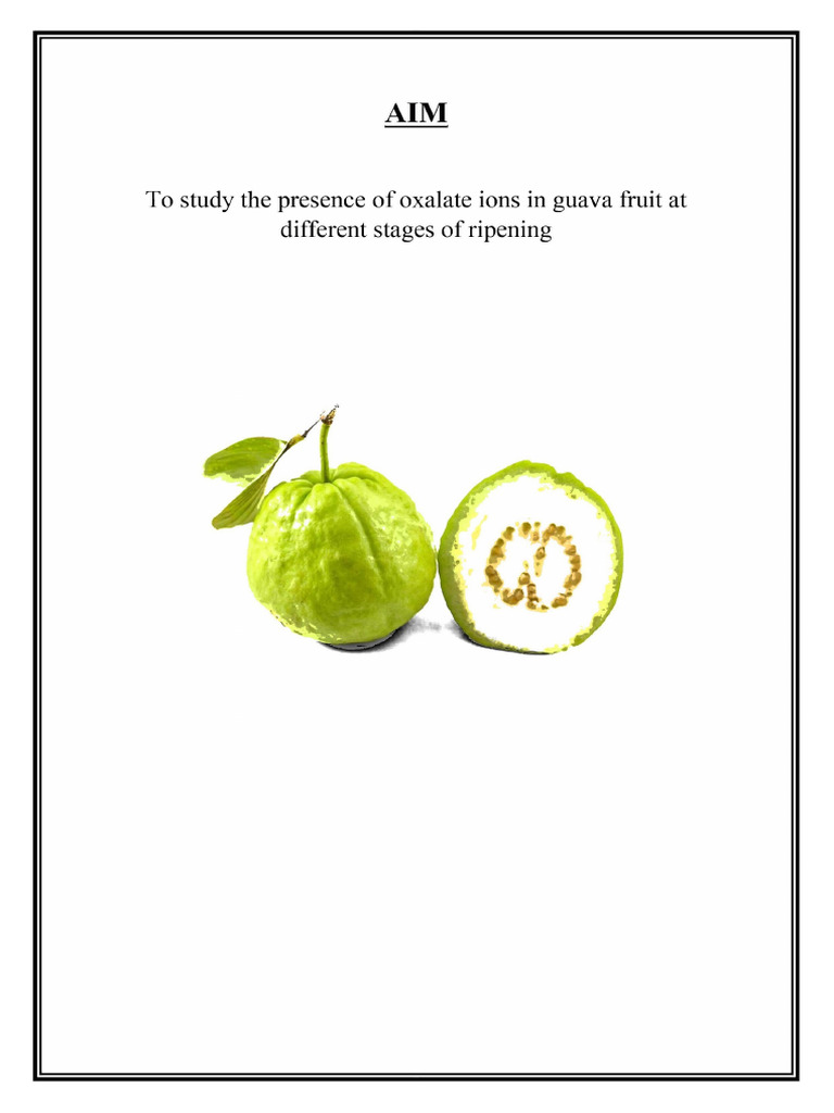 To Study The Presence of Oxalate Ions in Guava Fruit (P) Final | PDF