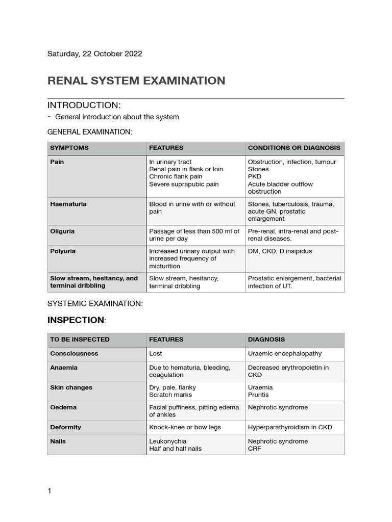Comprehensive Renal System Examination Guide | PDF | Kidney | Urinary ...
