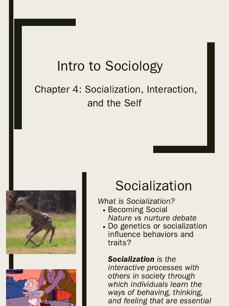 SOC1 Chapter 4 Slides | PDF | Socialization | Attachment Theory