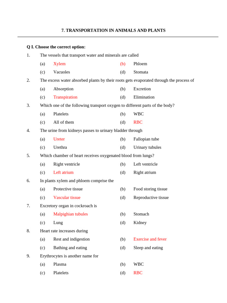 Transportation in Plants and Animals - Ans Key | PDF | Circulatory ...