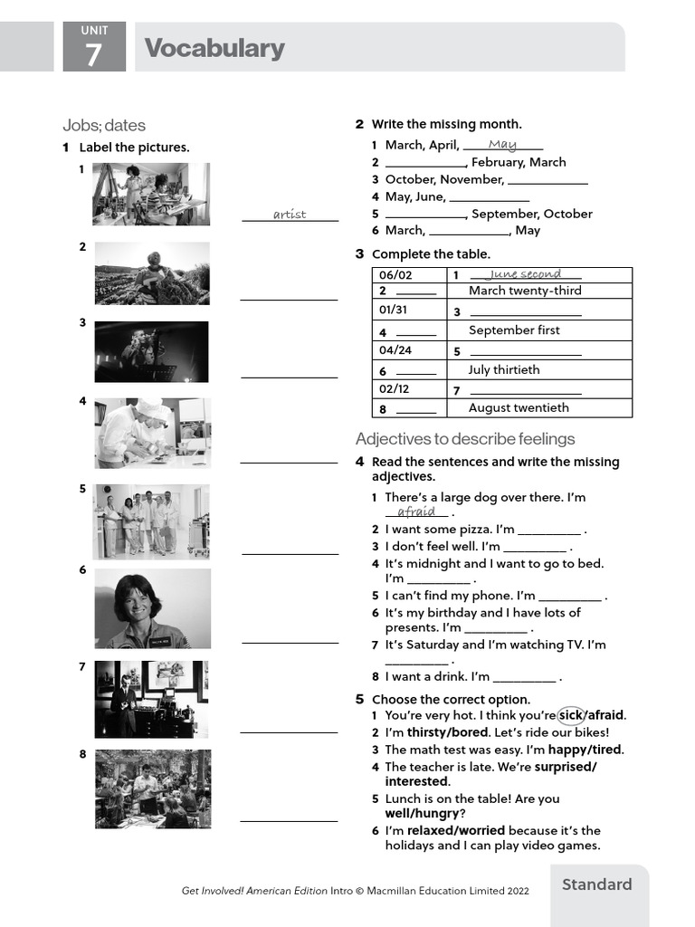 Vocabulary and Adjectives for Jobs | PDF