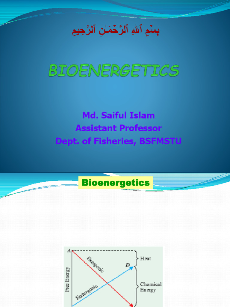 Bioenergetics: Energy in Biochemical Reactions | PDF | Gibbs Free ...