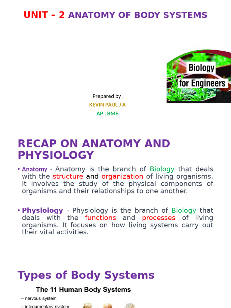 Anatomy of Human Body Systems Overview | PDF | Central Nervous System | Ear