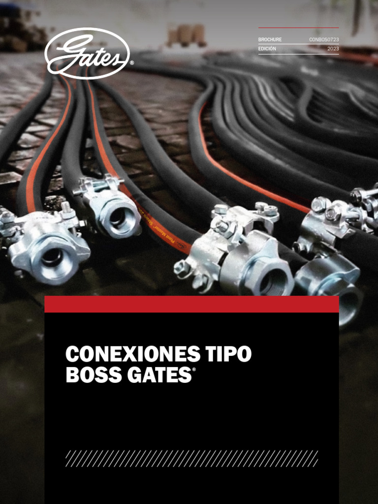 Conexiones Tipo Boss Gates 2023 | PDF | Gases | Materiales